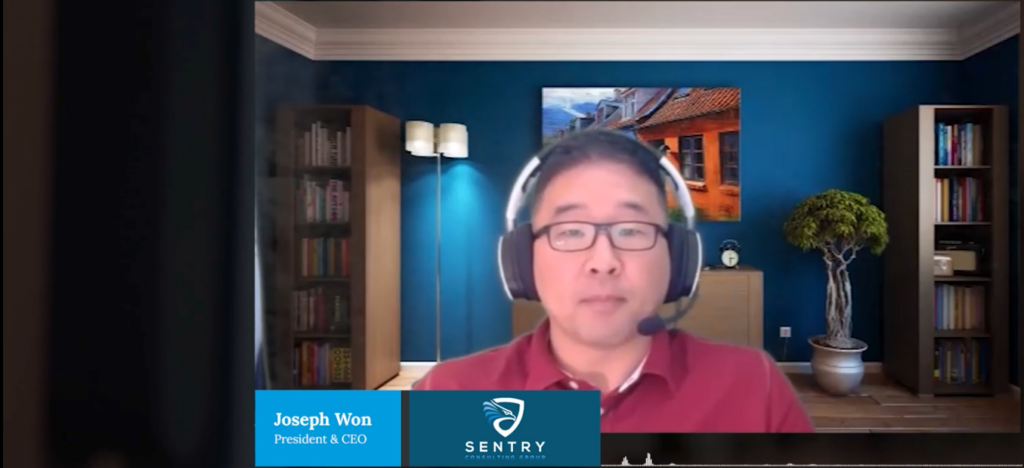 HaloPSA Implementation | TechPulse